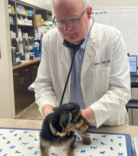 Spokane Valley, WA Veterinary Services | Pet Vet Hospital